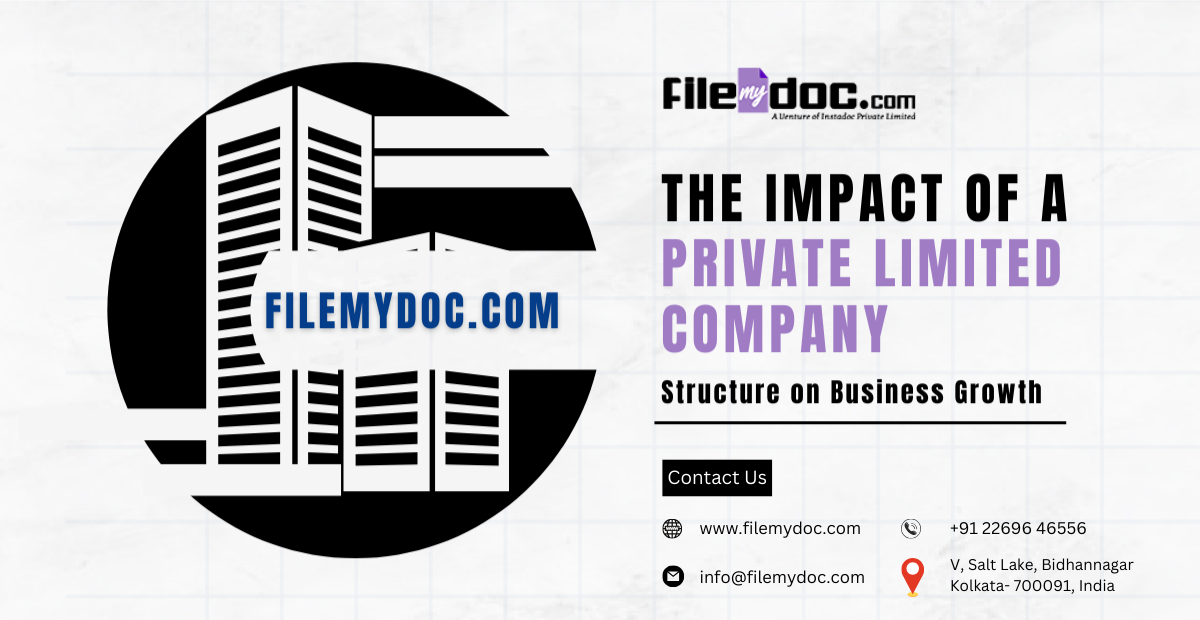 Private Limited Company Structure on Business Growth